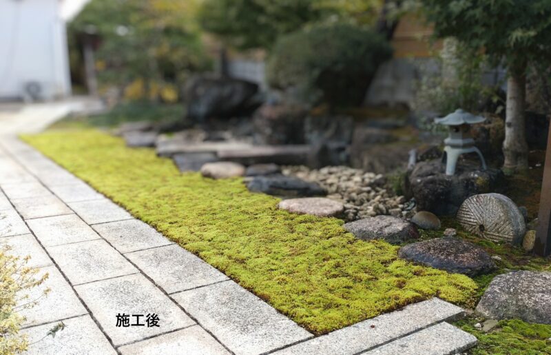 スナゴケ庭園緑化